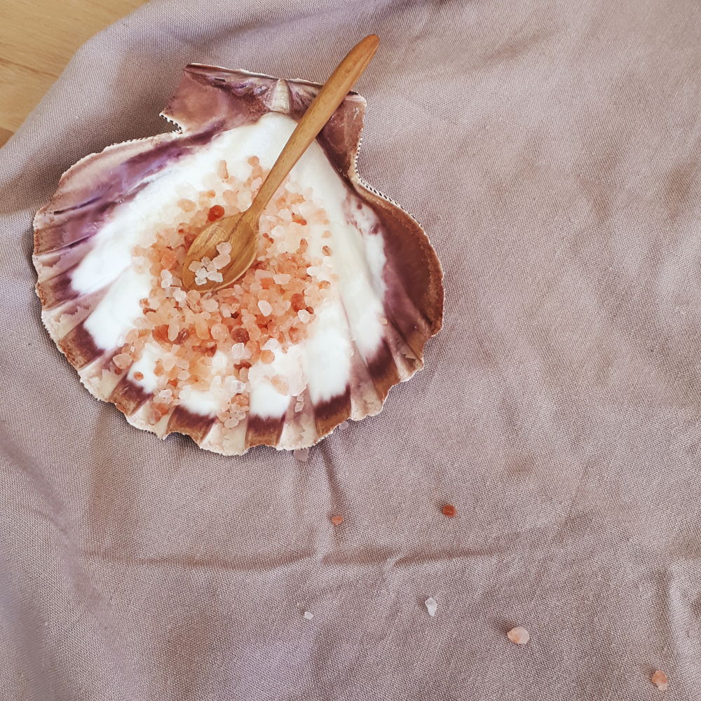 Grote Sint Jacobs schelp – Houtkoorts